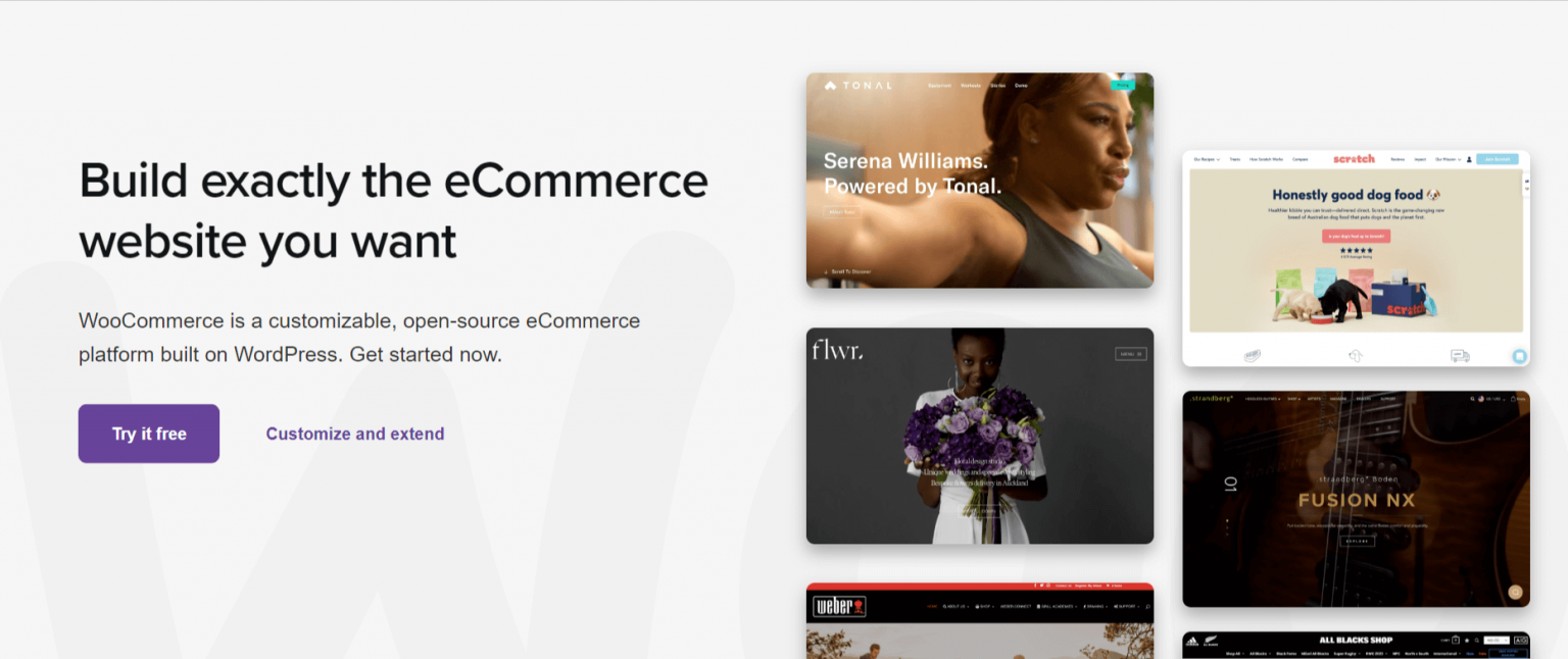 Best ECommerce Software in 2023 - BufferApps