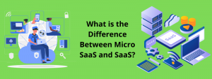 What is Micro SaaS And How to Create One In 2024